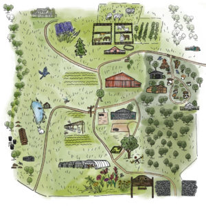 Home - Piney Woods Farm | LaGrange Georgia