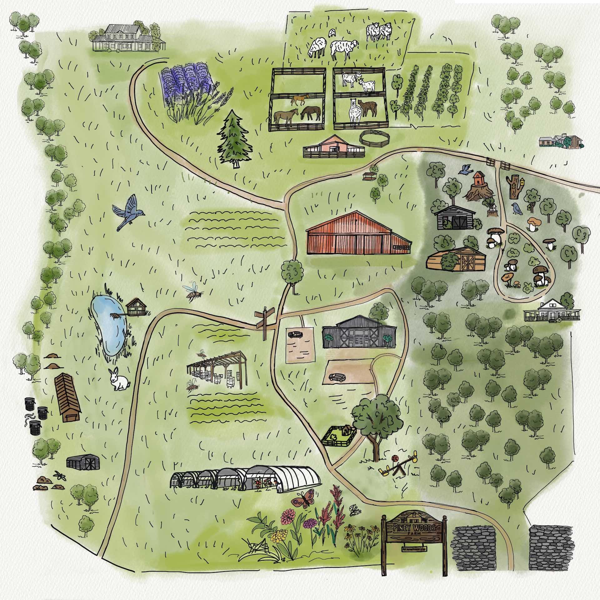 Piney Woods Farm | LaGrange Georgia – Farm To Future